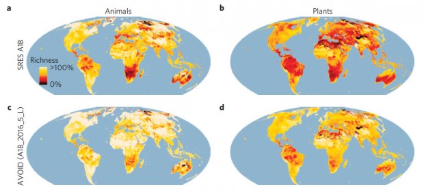 Behauptung: „Tiere und Pflanzen werden sich an den Klimawandel anpassen“ | Helmholtz-Klima ...